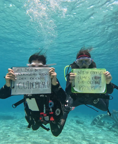 teamblue - Blue rethink